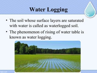 Water logging soils | PPT | Agriculture | Industries