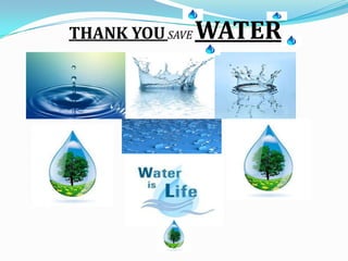 Water management | PPTX
