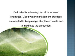 Water management (Agriculture) | PPTX