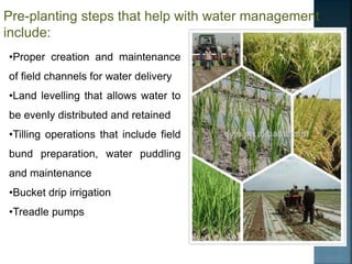 Water management (Agriculture) | PPTX