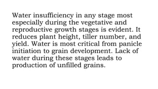 WATER MANAGEMENT.pptx