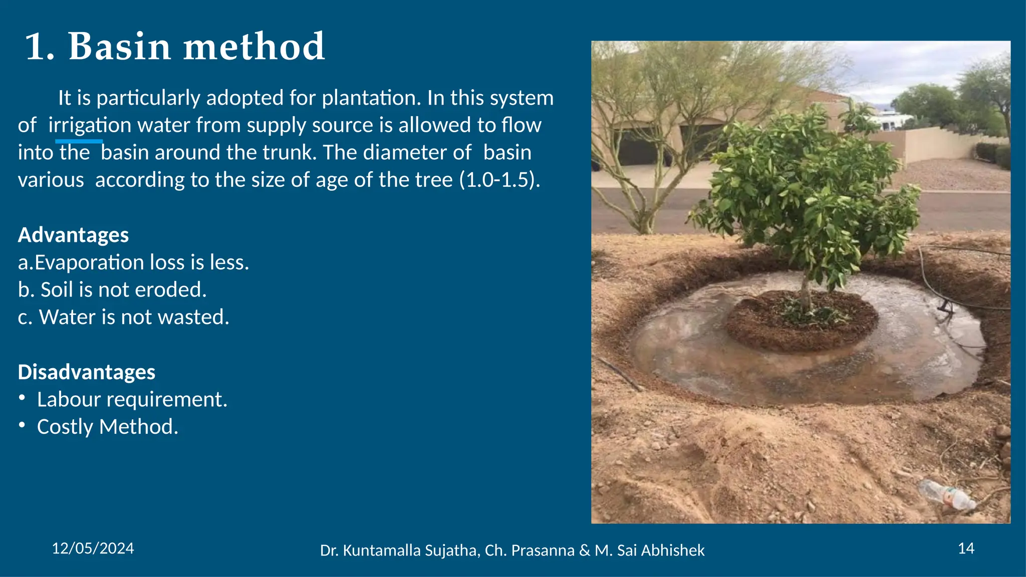 Water management techniques used in mulberry plantation.pptx