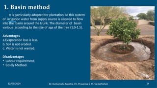 Water management techniques used in mulberry plantation.pptx