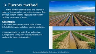 Water management techniques used in mulberry plantation.pptx