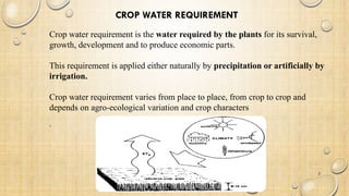 crop water requirement,ER, Evapotranspiration.pptx