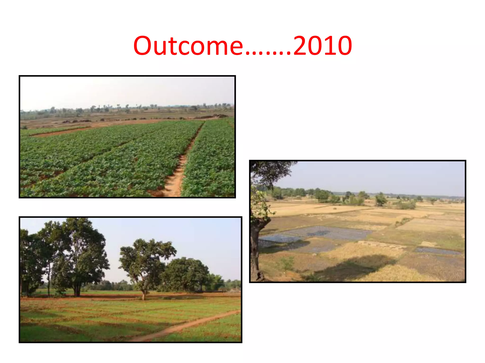 Water management in developing country | PPTX | Agriculture | Industries