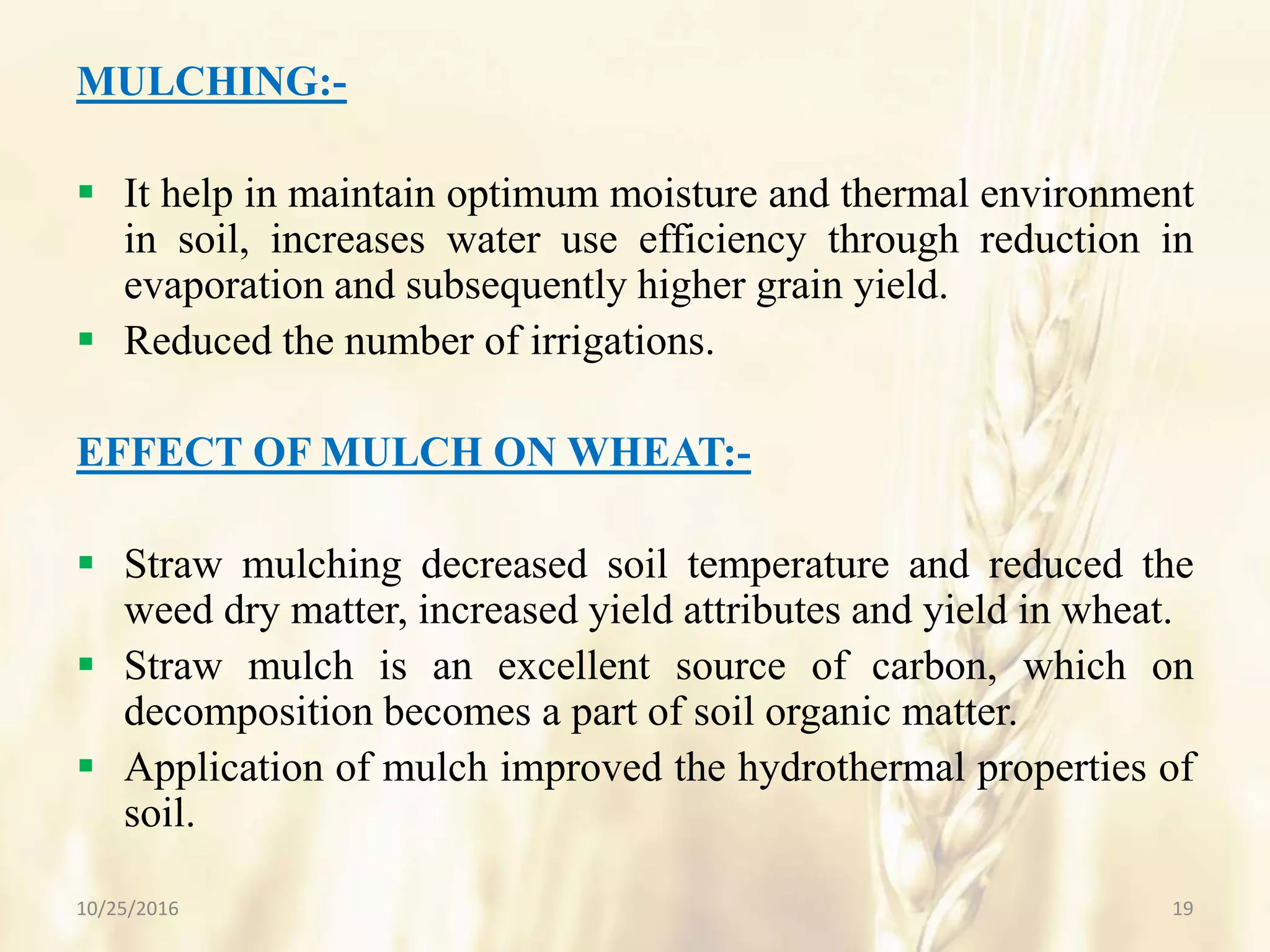Water management of wheat | PPTX