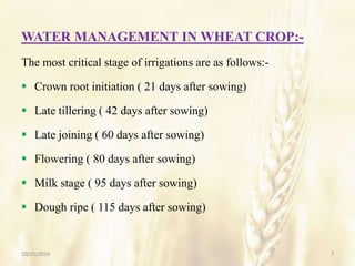 Water management of wheat | PPTX