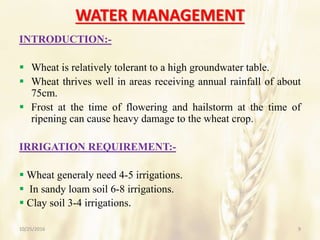 Water management of wheat | PPTX