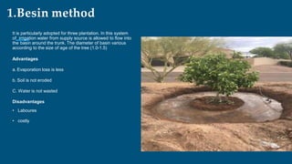 Water management on mulberry cultivation.pptx