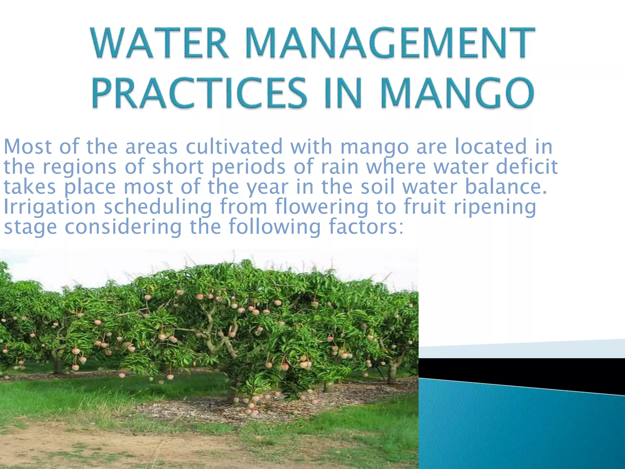 Water management in mango | PPTX