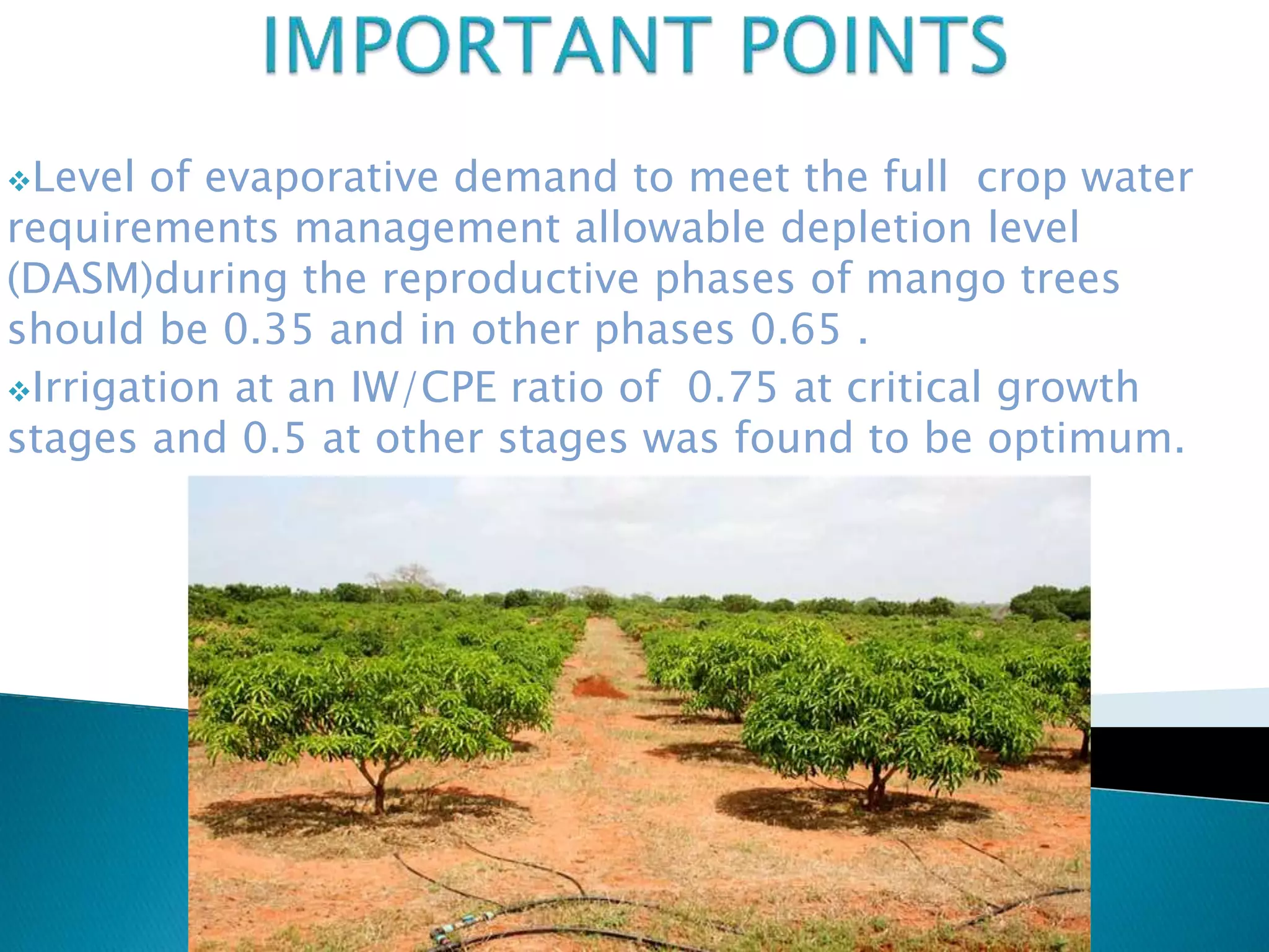 Water management in mango | PPTX