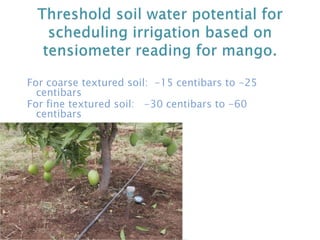Water management in mango | PPTX