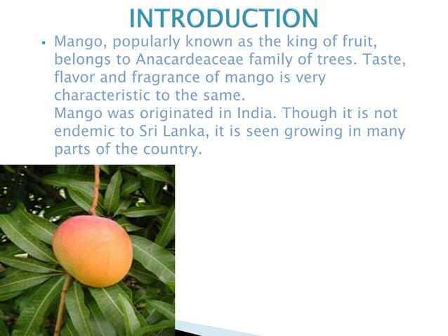 Water management in mango | PPTX | Agriculture | Industries