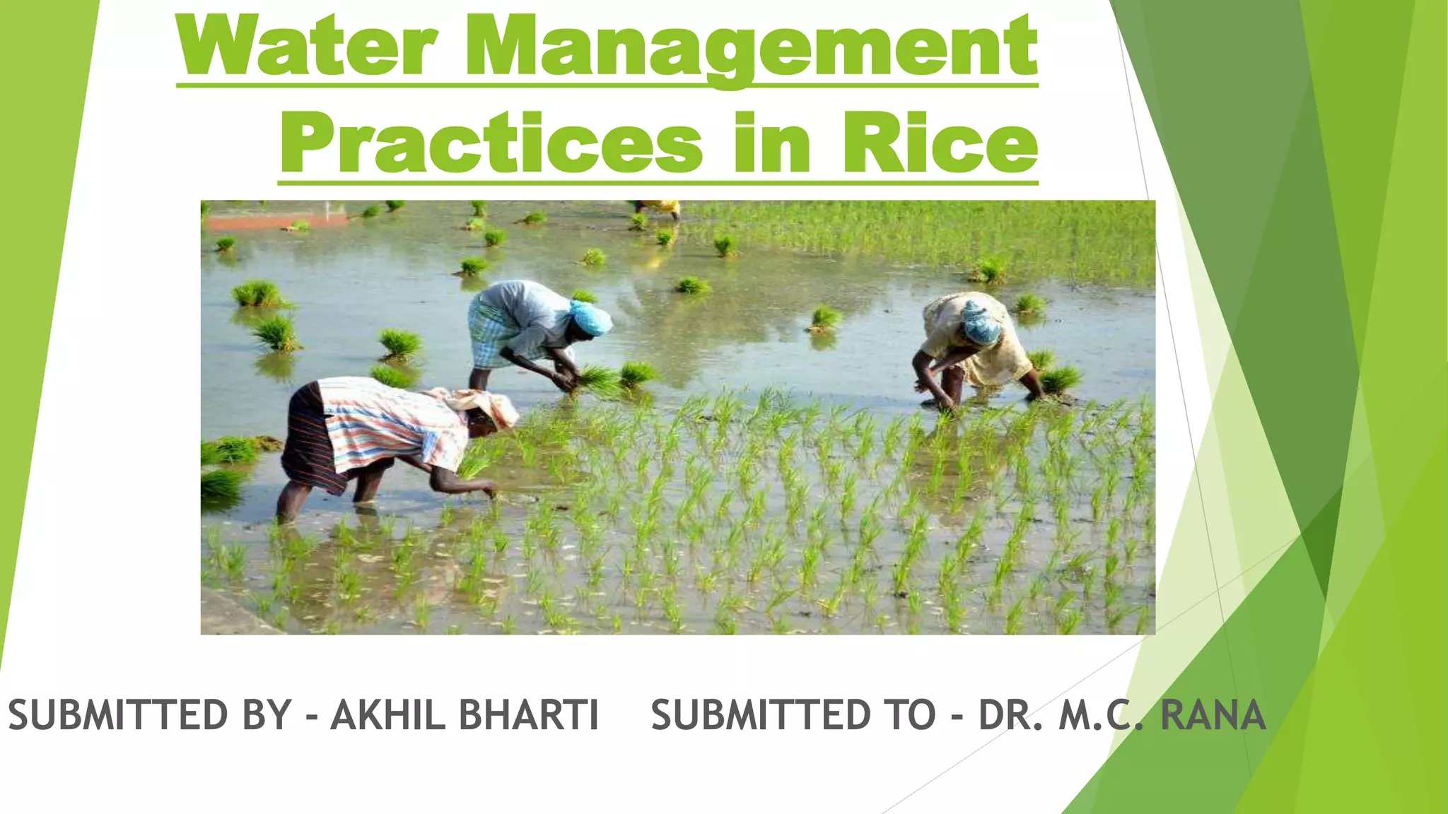 Water management practices in rice | PPTX