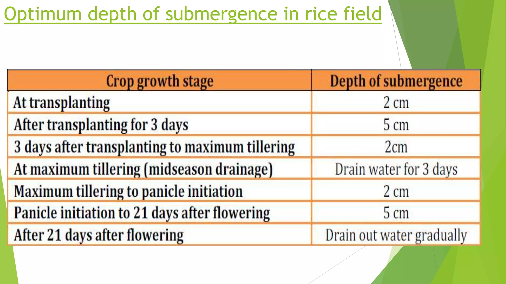 Water management practices in rice | PPTX