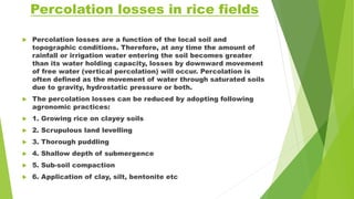 Water management practices in rice | PPTX