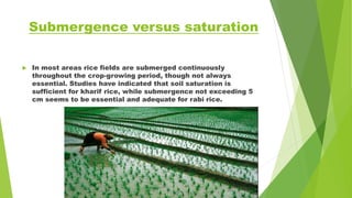 Water management practices in rice | PPTX