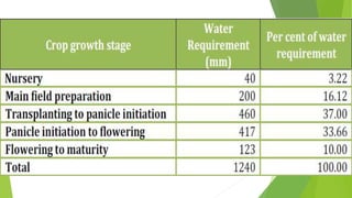 Water management practices in rice | PPTX