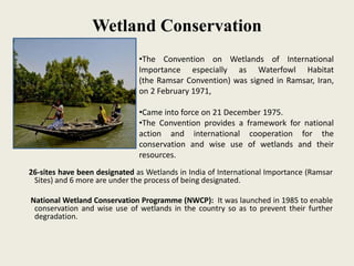 Water management practices | PPTX