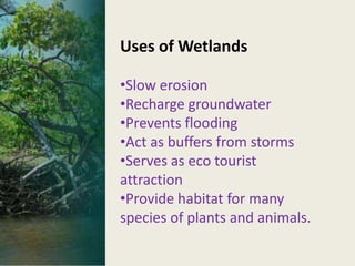 Water management practices | PPTX