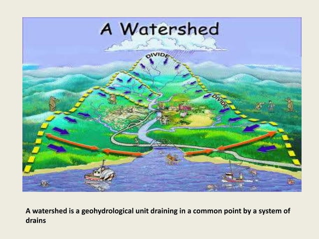 Water management practices | PPTX