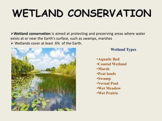 Water management practices | PPTX