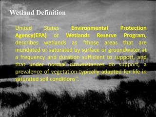 Water management practices | PPTX