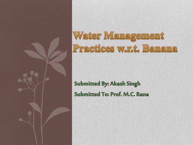 Water management practices wrt Banana | PPTX | Agriculture | Industries