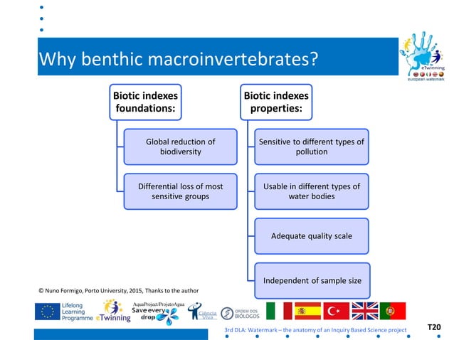 3rd DLA: Watermark – the anatomy of an Inquiry Based Science project | PPT