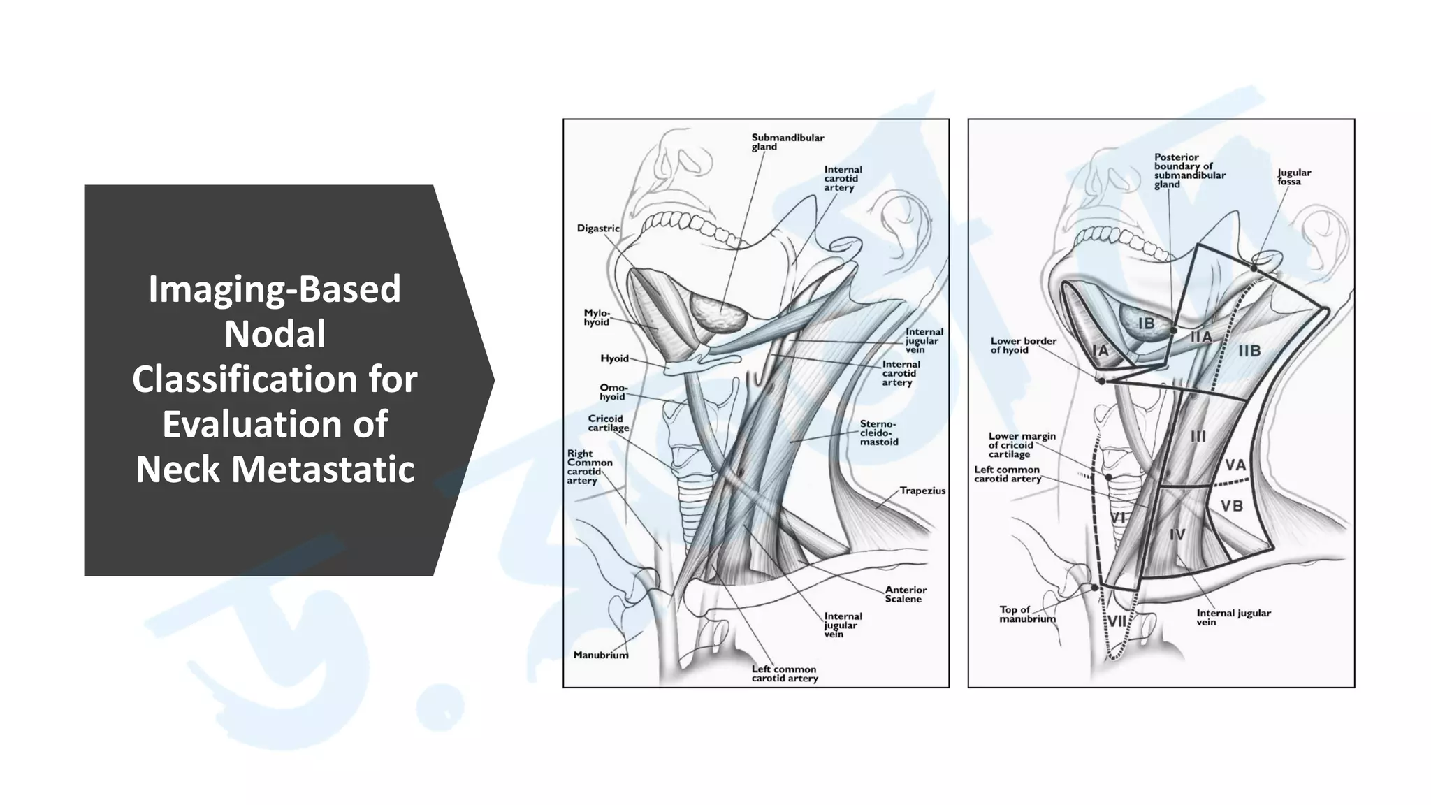 DIFFERENTIAL DIAGNOSIS OF LYMPHADENOPATHY | PDF