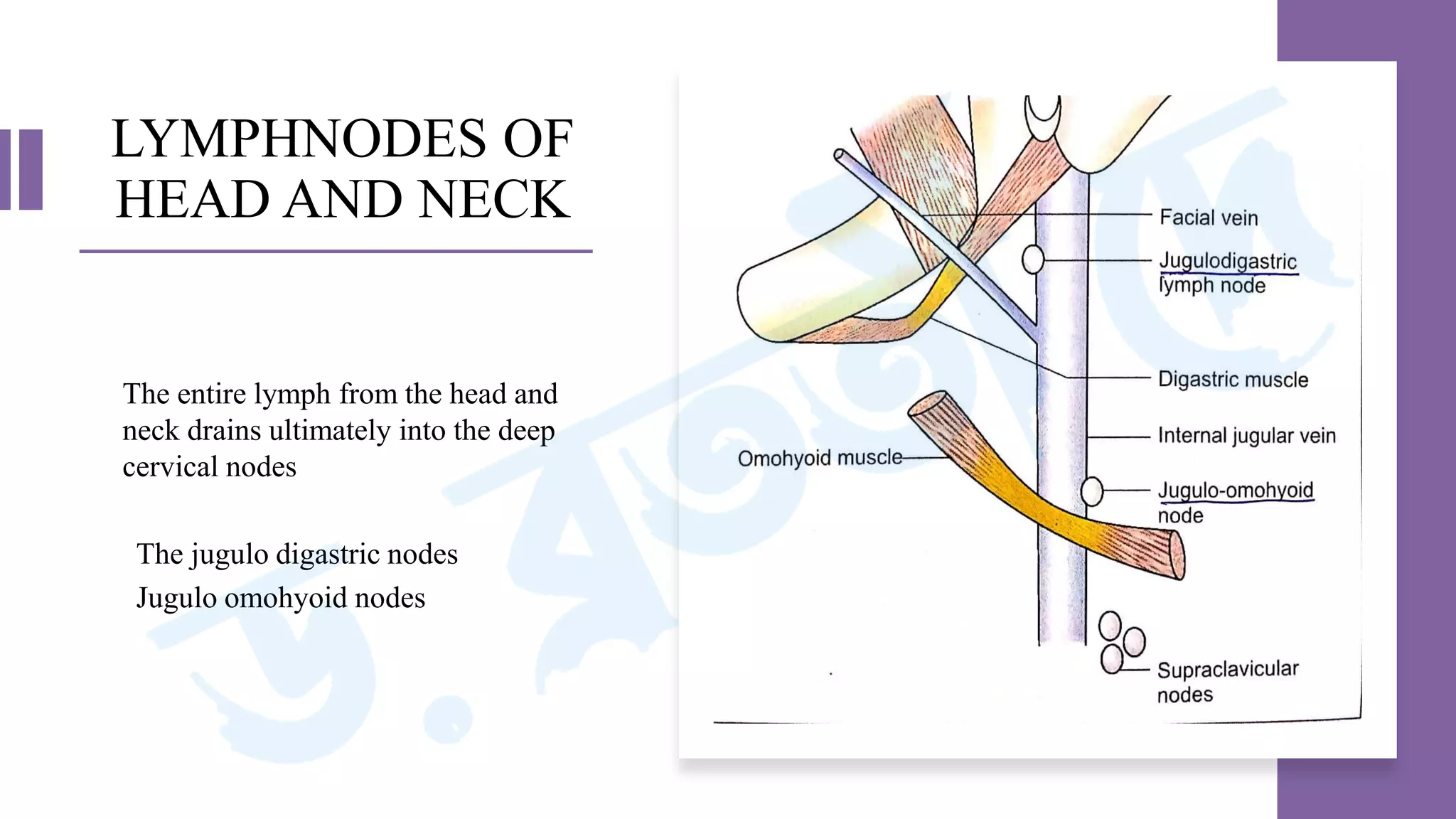 DIFFERENTIAL DIAGNOSIS OF LYMPHADENOPATHY | PDF