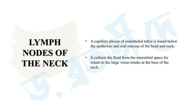 DIFFERENTIAL DIAGNOSIS OF LYMPHADENOPATHY | PDF