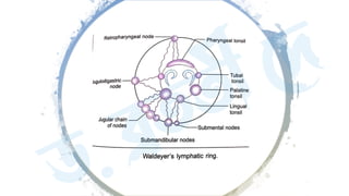 DIFFERENTIAL DIAGNOSIS OF LYMPHADENOPATHY | PDF