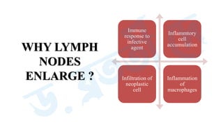 DIFFERENTIAL DIAGNOSIS OF LYMPHADENOPATHY | PDF