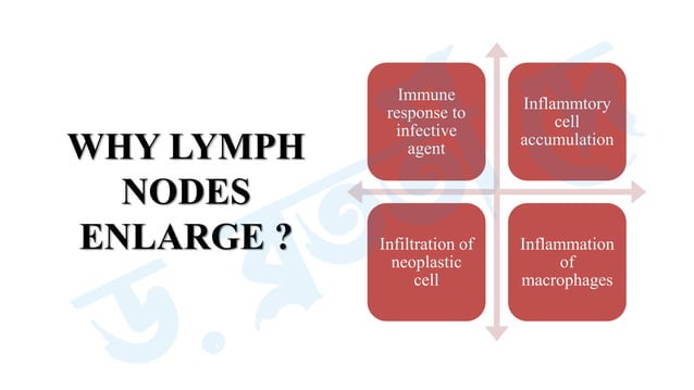 DIFFERENTIAL DIAGNOSIS OF LYMPHADENOPATHY | PDF