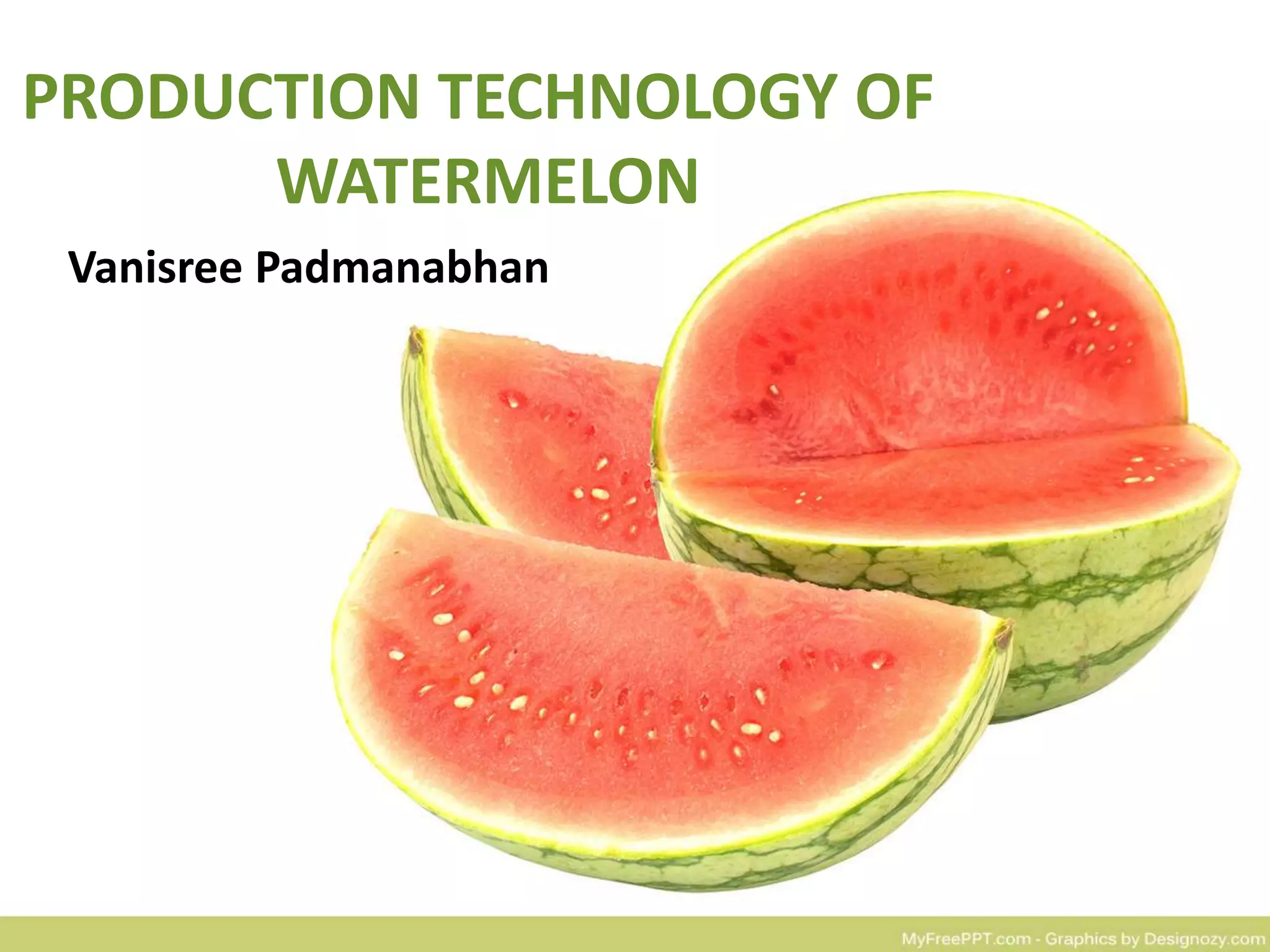 Watermelon | PPTX