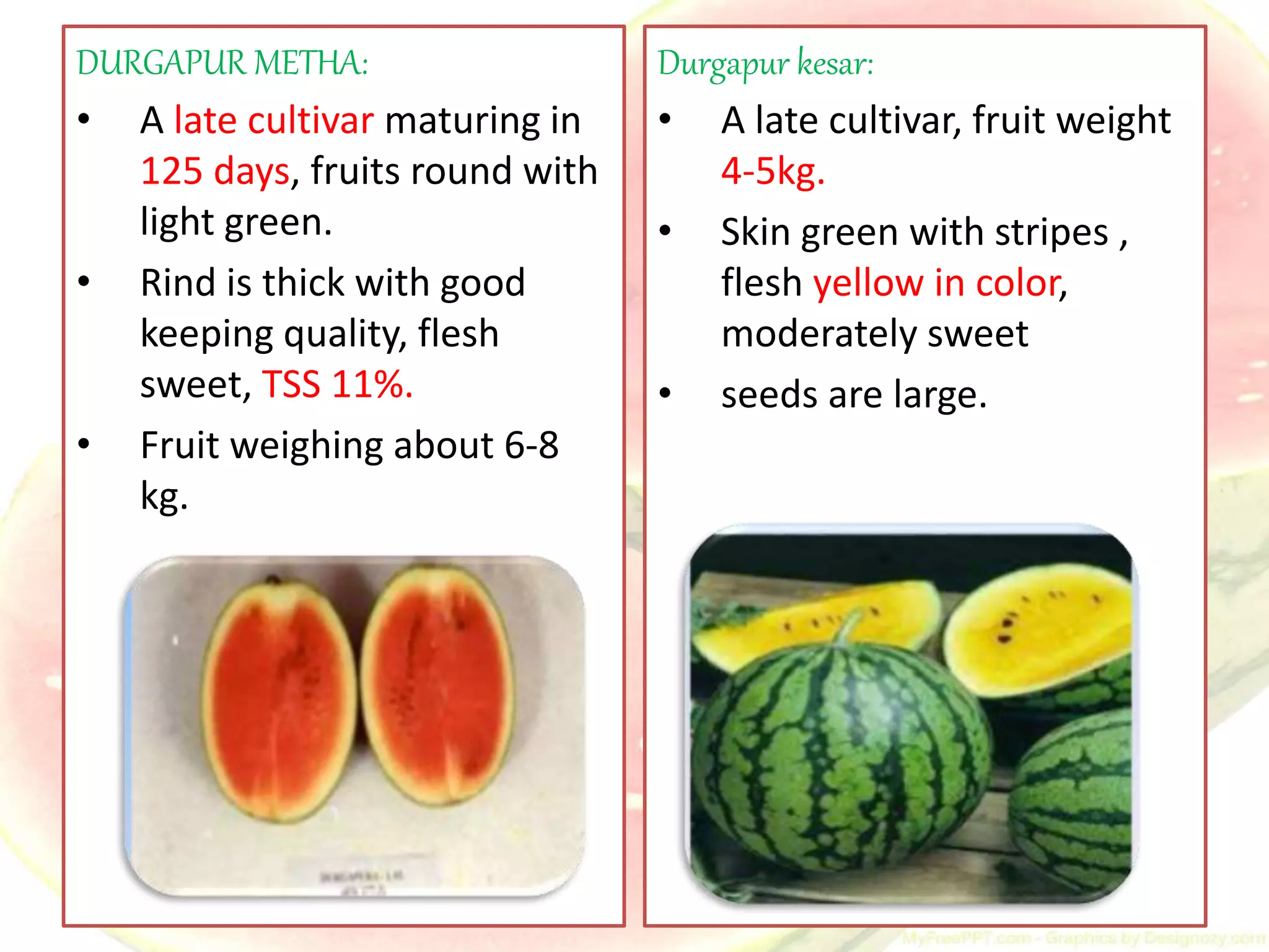 Watermelon | PPTX