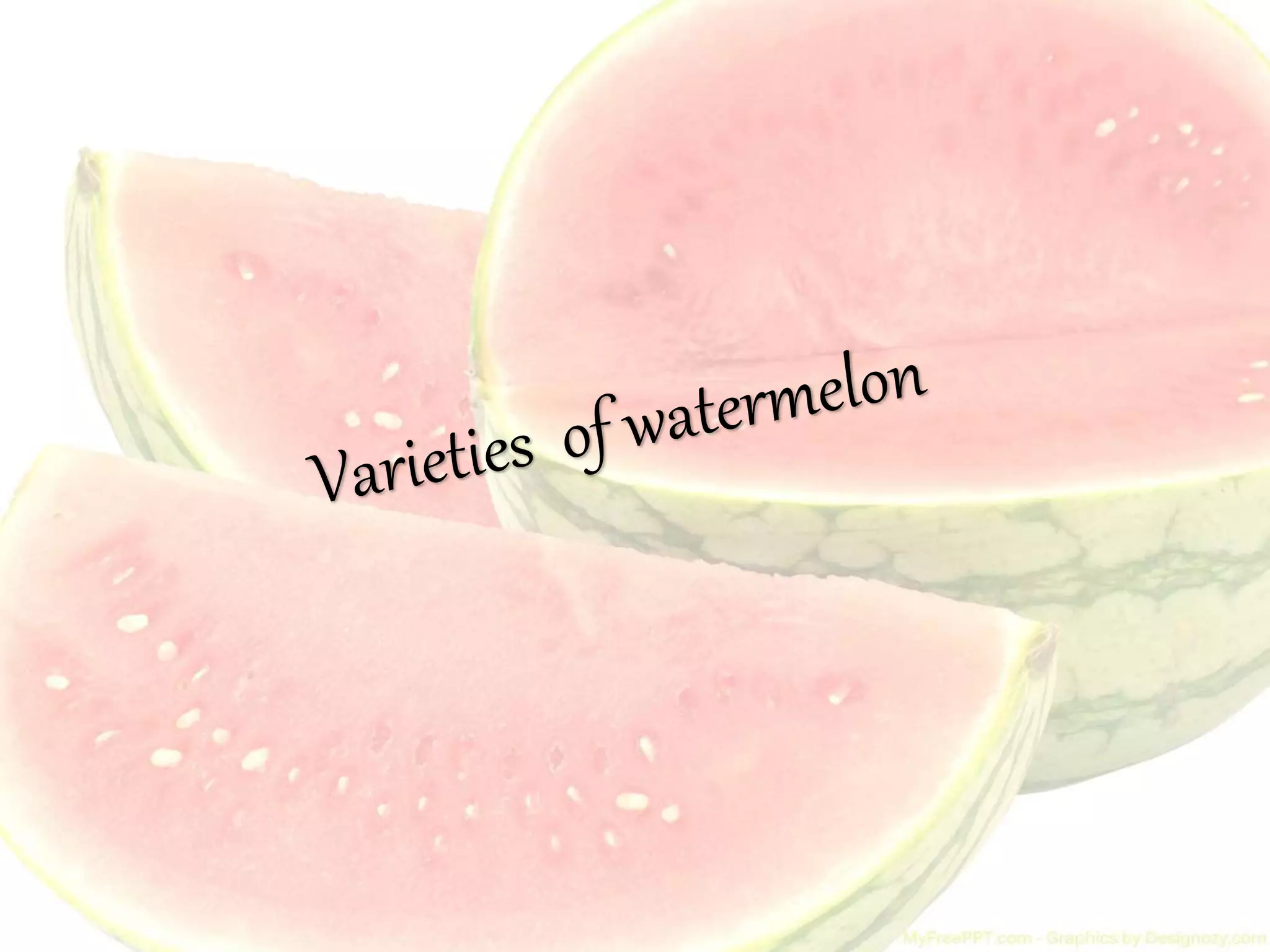 Watermelon | PPTX