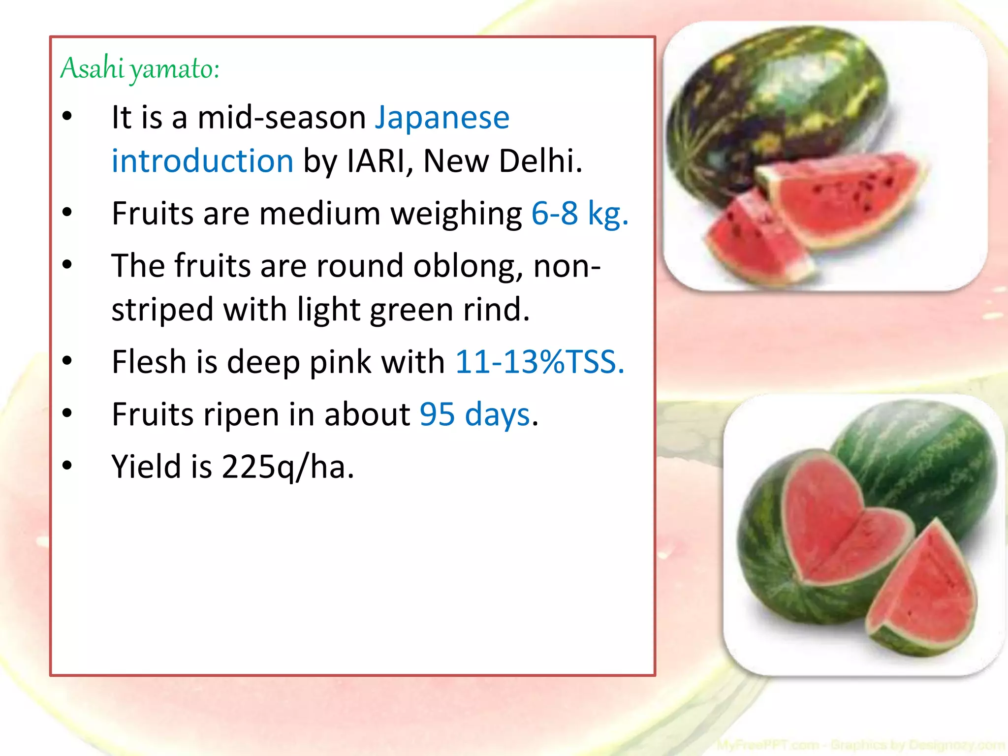 Watermelon | PPTX