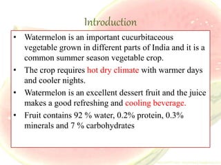 Watermelon | PPTX