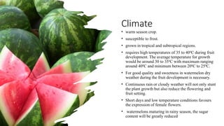 Watermelon (Citrullus lanatus) crop production technology.pptx