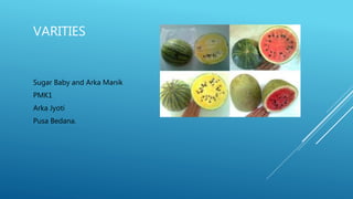 Watermelon assignment | PPTX