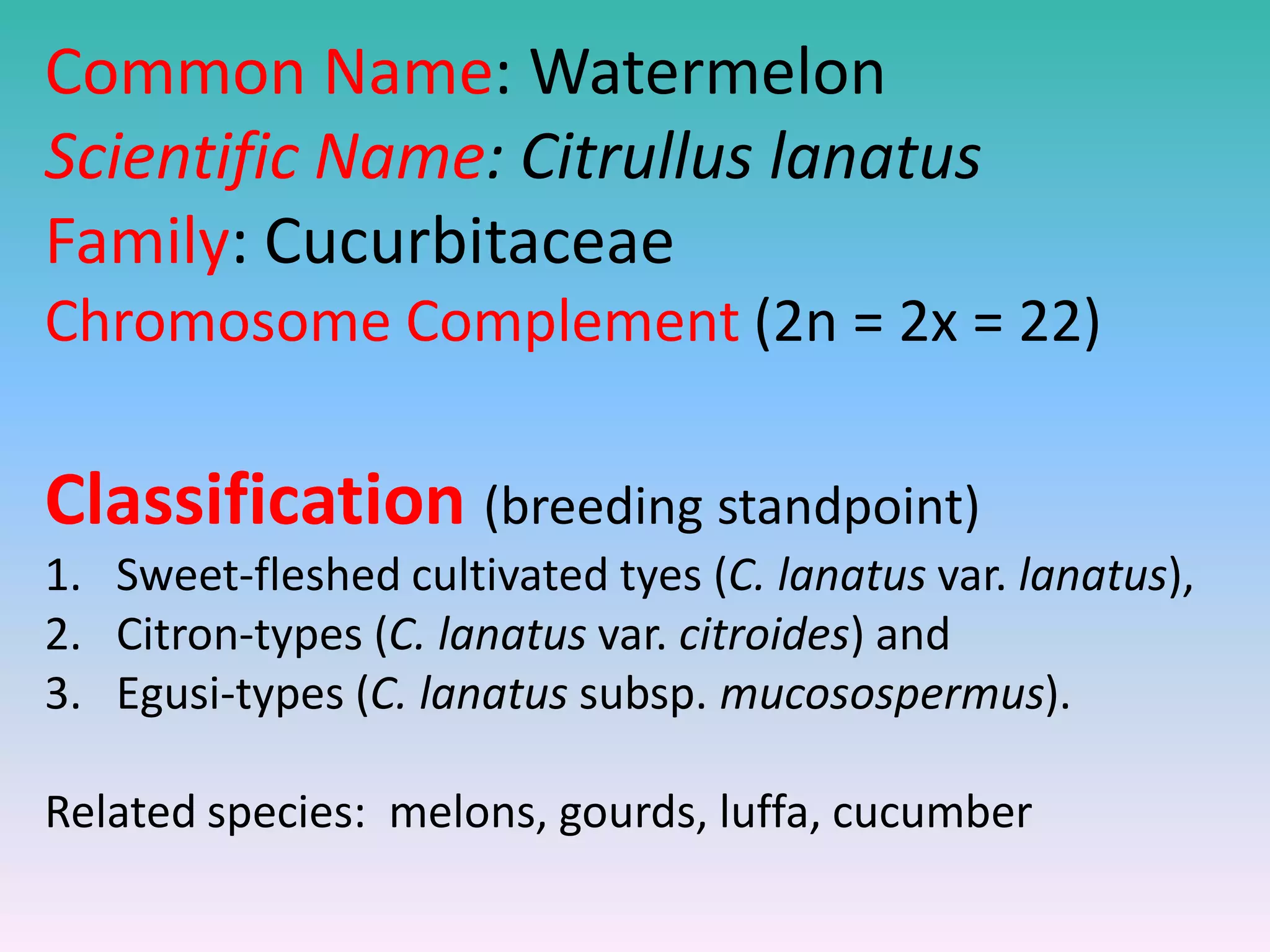 Watermelon breeding | PDF