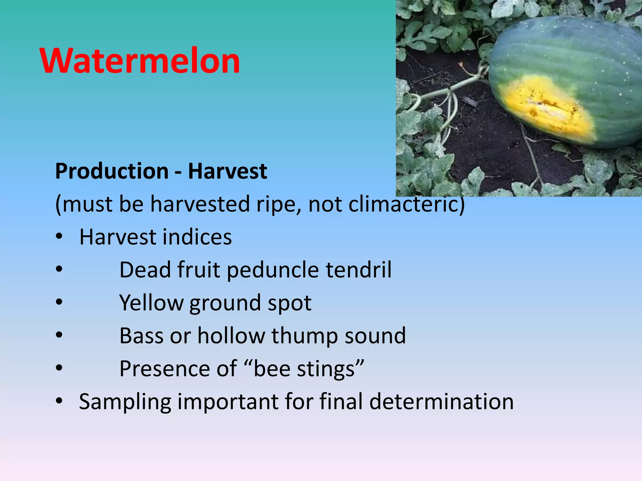 Watermelon breeding | PDF
