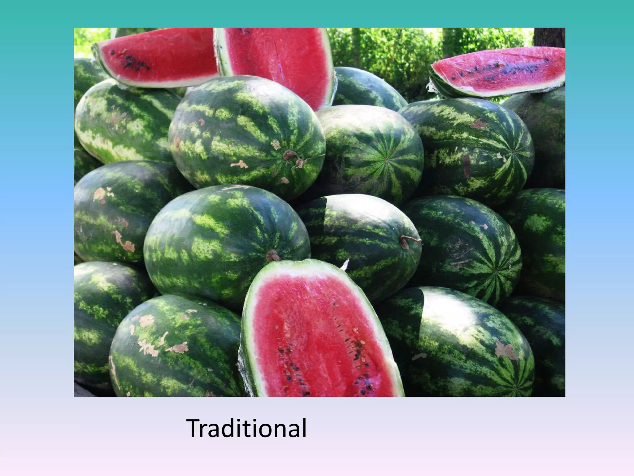 Watermelon breeding | PDF