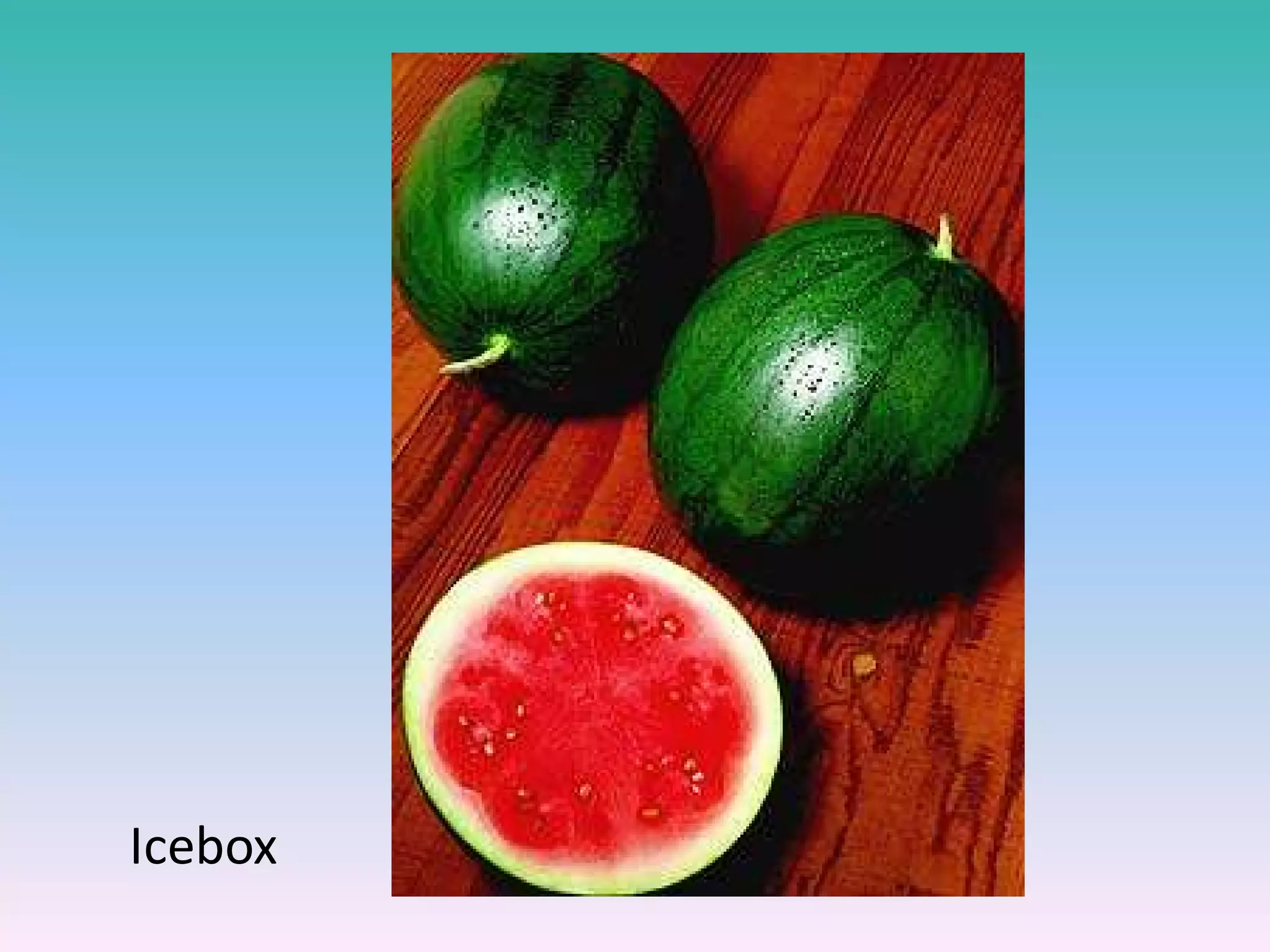 Watermelon breeding | PDF