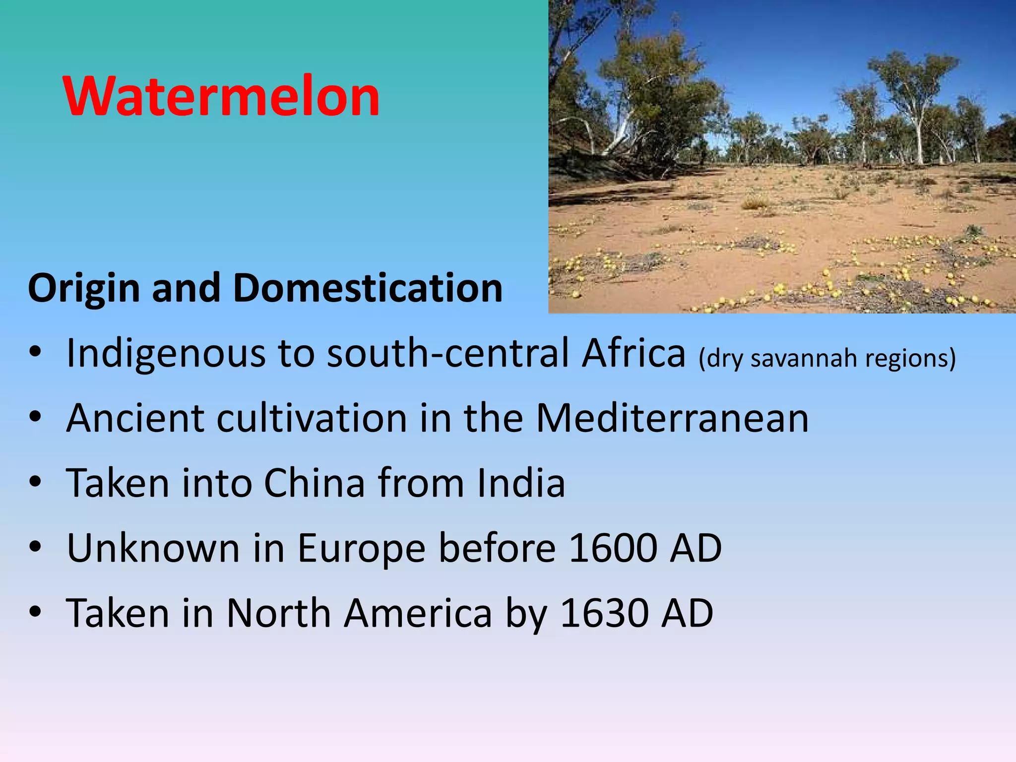 Watermelon breeding | PDF