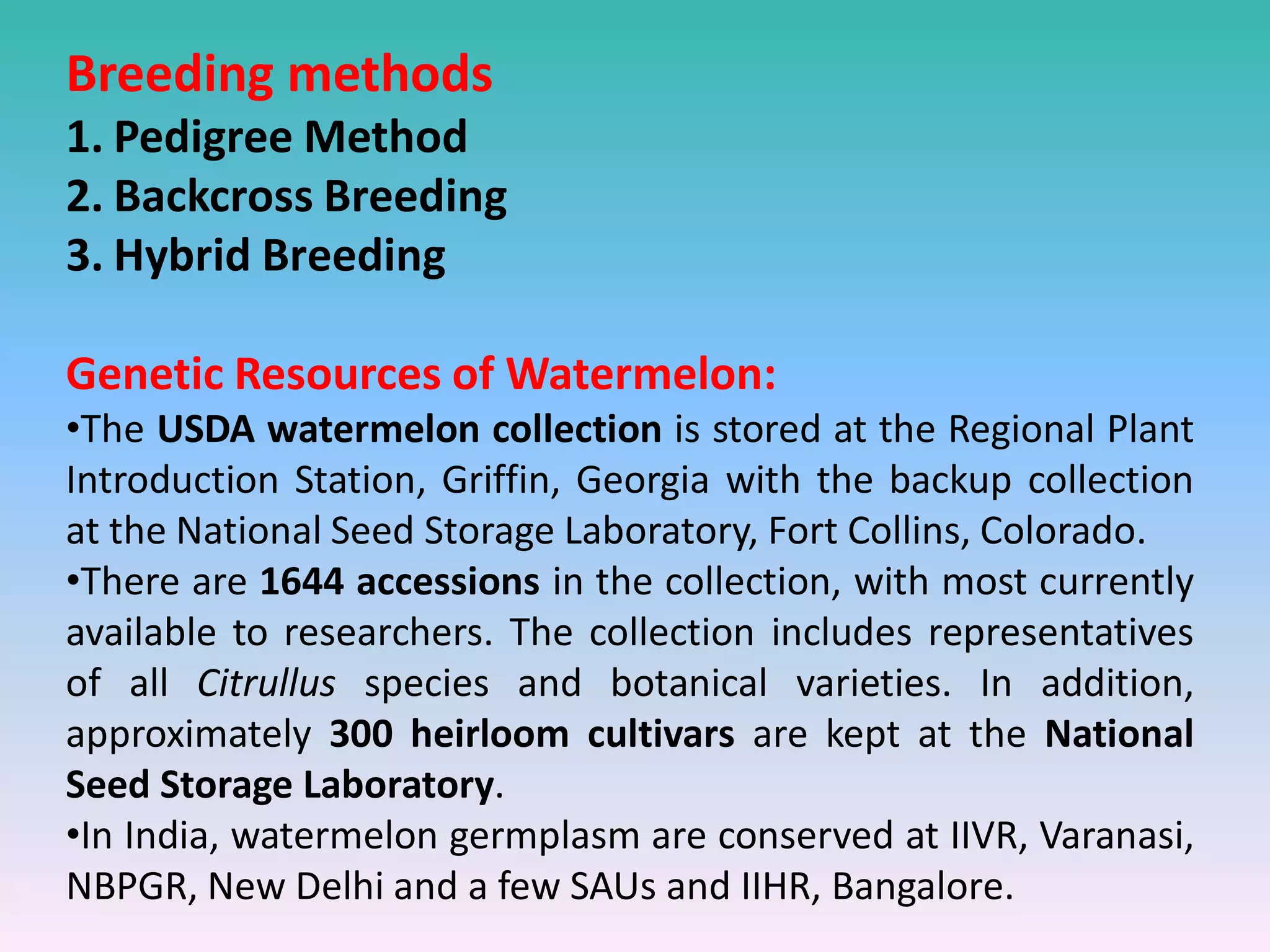 Watermelon breeding | PDF