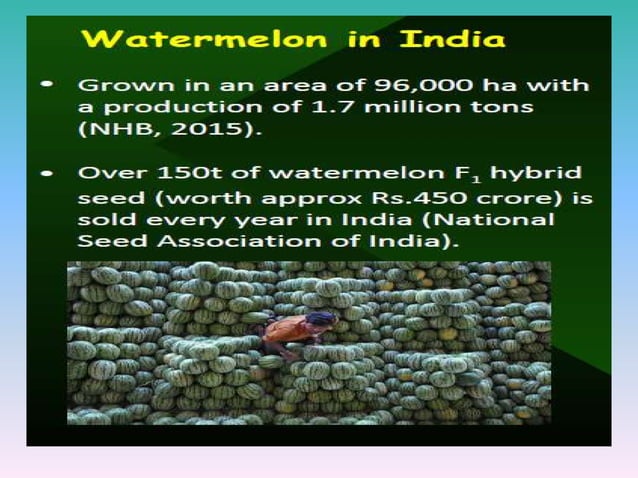 Watermelon breeding | PDF | Agriculture | Industries